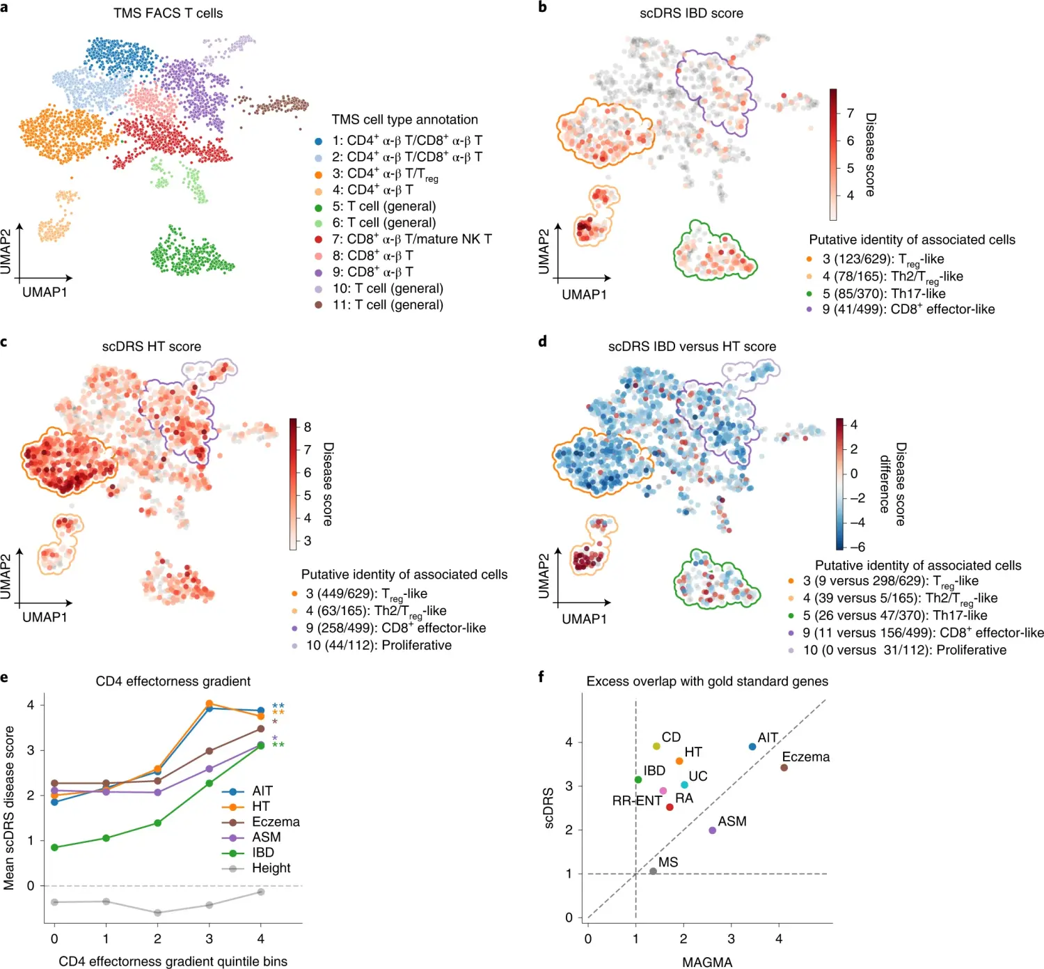 Post-GWAS：单细胞疾病相关性评分（scDRS）分析 - 格发许可优化